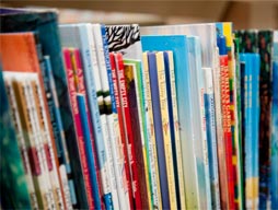 Wonga Beach State School